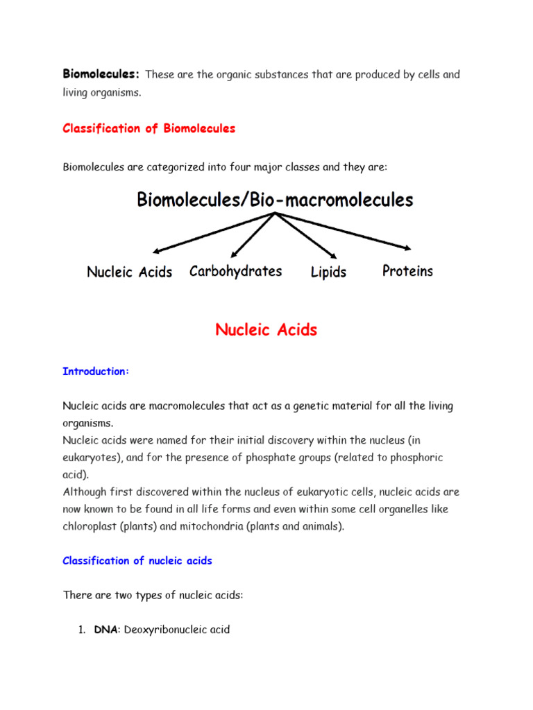 Biomolecules_Part1 | Download Free PDF | Nucleic Acids | Nucleotides