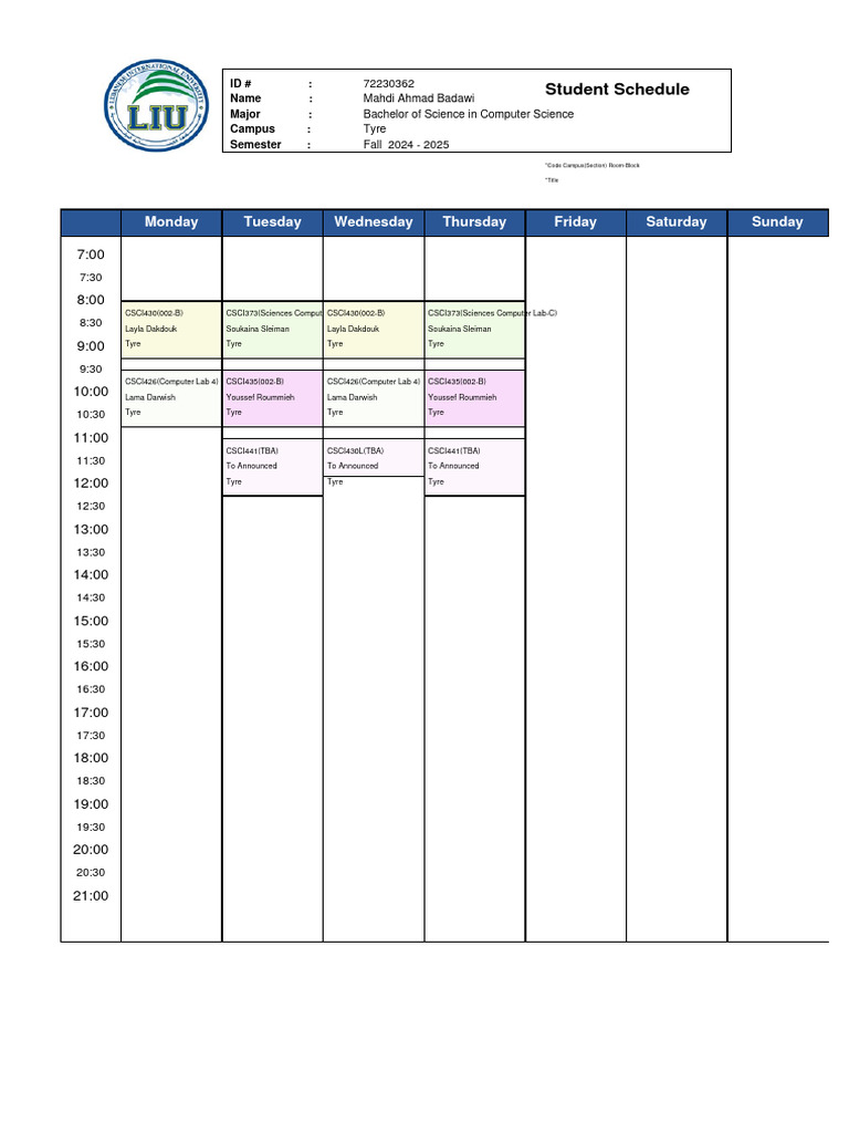Fall 2024 Computer Science Schedule | PDF