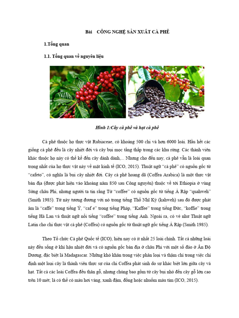 Bài Cà Phê Docx | PDF