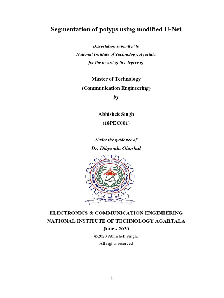 Thesis Abhishek Singh Final | PDF | Image Segmentation | Applied Mathematics