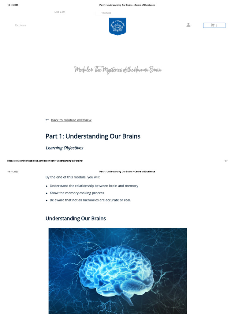 Part 1_ Understanding Our Brains - Centre of Excellence | PDF | Brain | Human Brain