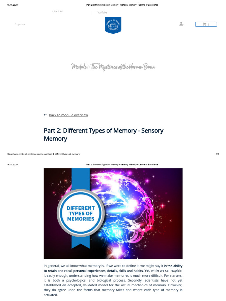 Part 2 - Different Types of Memory - Sensory Memory - Centre of ...