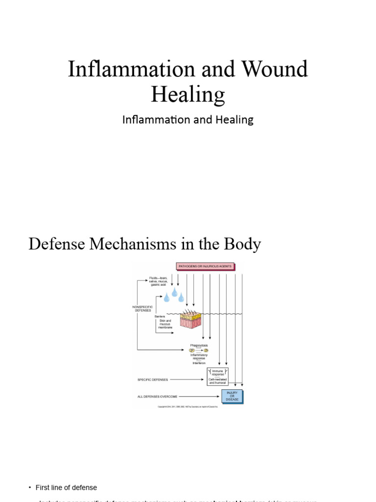 Week 2 - Hour 1 - Inflammation and Wound Healing | PDF | Inflammation ...