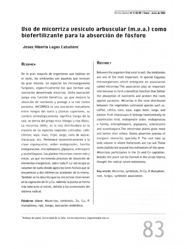 Uso de Micorriza Vesiculo Arbuscular (M.v.a.) Como Biofertilizant | PDF ...