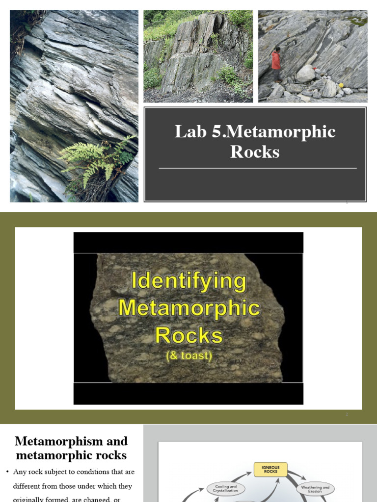 Lab 5.Metamorphic Rocks 2020 | PDF | Rock (Geology) | Minerals