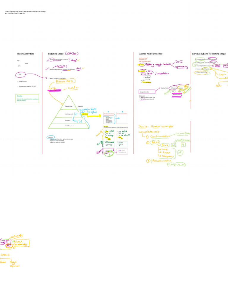 Audit Process Notes_SW | PDF