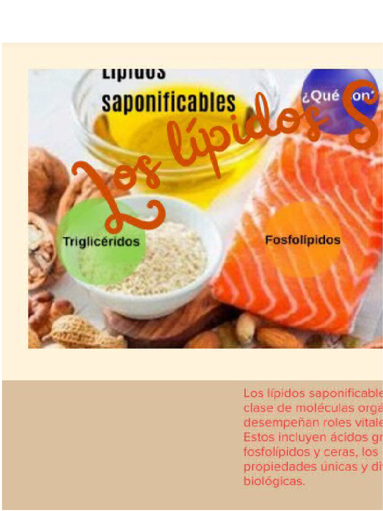 Lípidos Saponificables Pdf