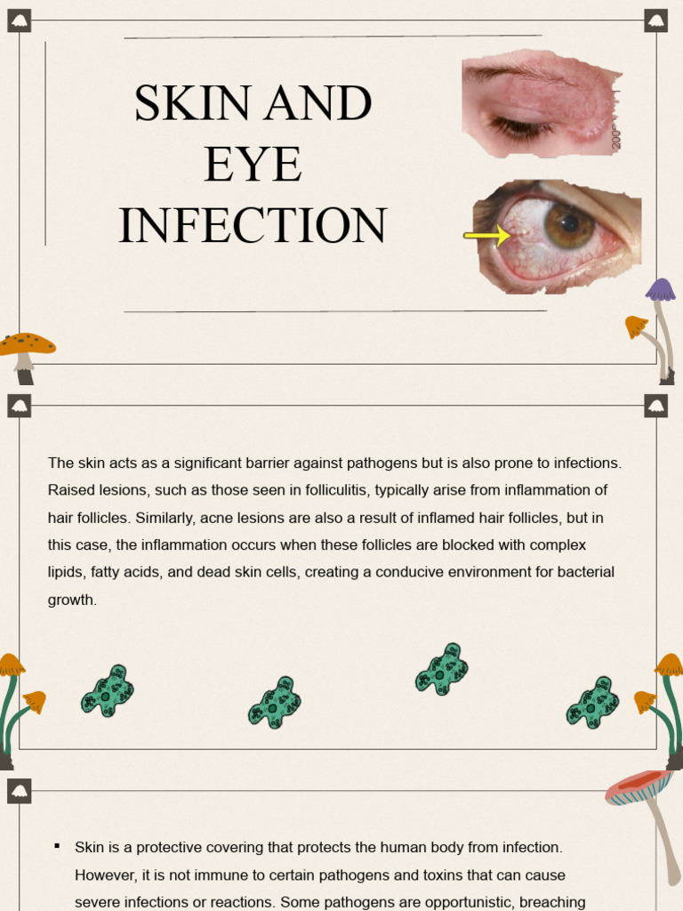Biology Subject For High School Algae and Fungi 1 | PDF | Skin | Infection