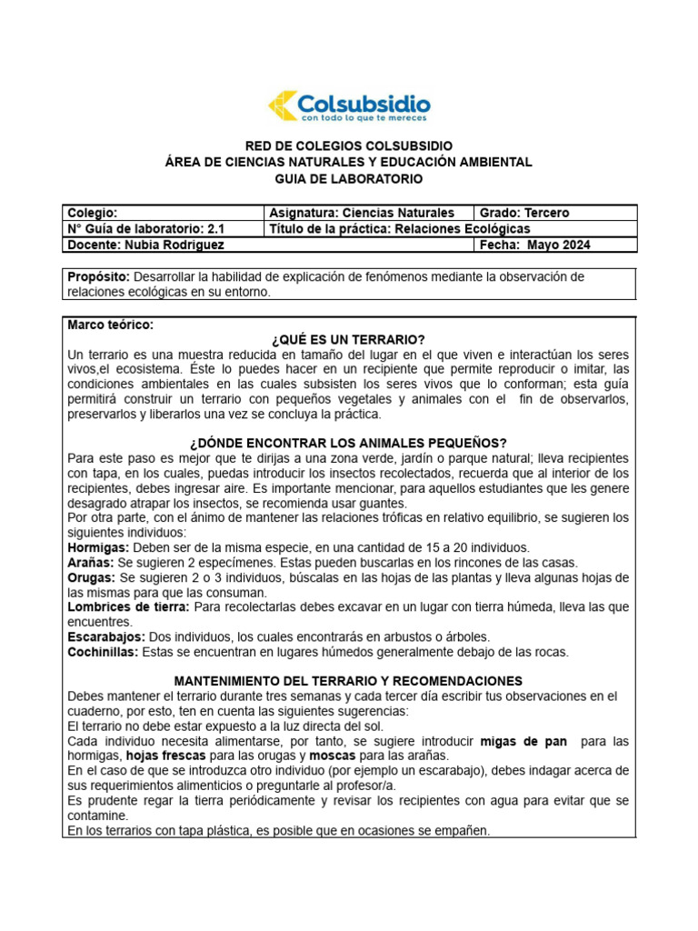 Terrario Escolar con Insectos | PDF | Entorno natural | Ecología