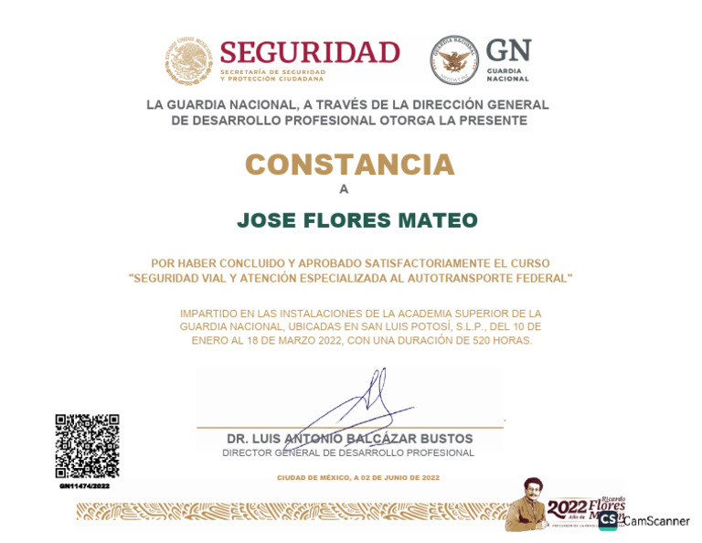 Contancia Flores | PDF