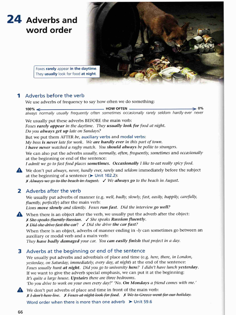 Adverbs and Word Order | PDF