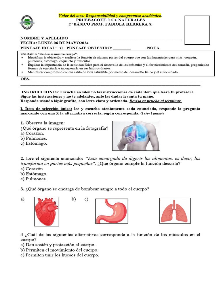 Prueba Cs Naturales 2° Básico Cuerpo Humano | PDF | Esqueleto | Hueso