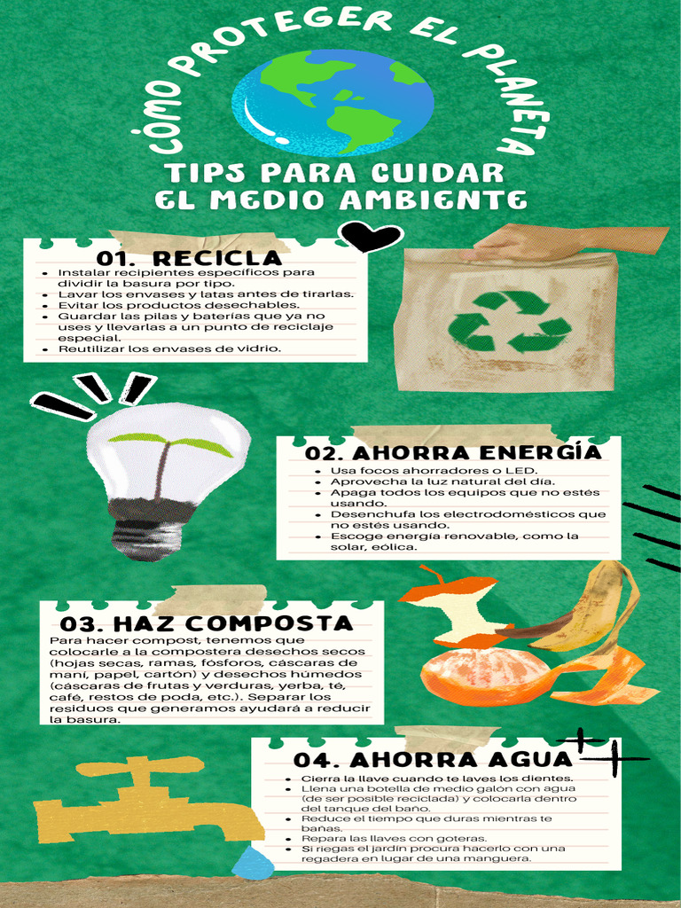 Infografia Medio Ambiente Creativo Verde | PDF