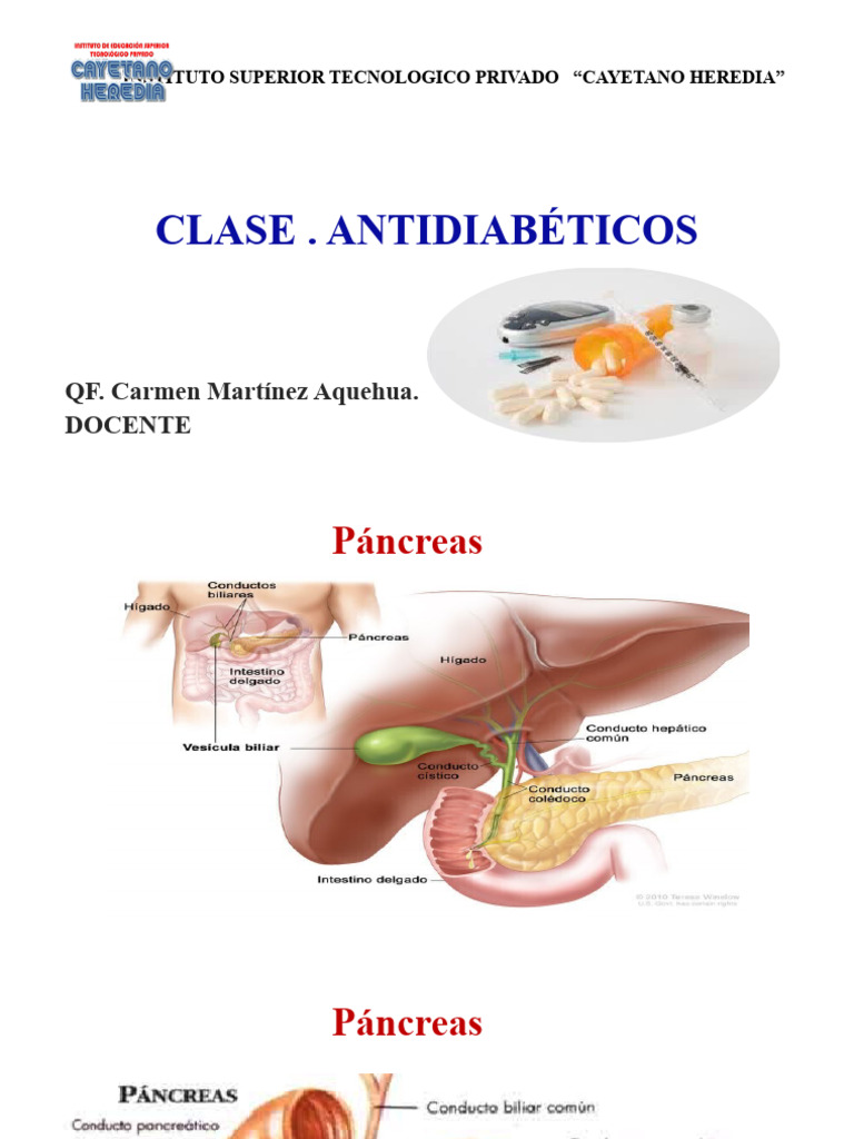 Anti Diabetic Os | PDF | Diabetes | Páncreas