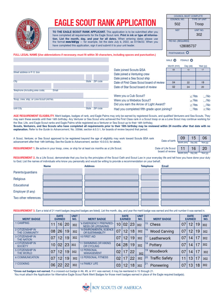 Kami Export - Elijah Quan's Eagle-Scout-Application-3 | PDF | Boy ...