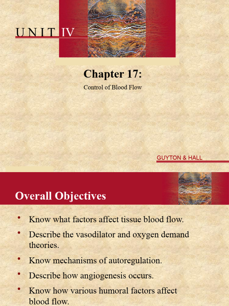 CH 17 Ed | PDF | Blood Vessel | Vasodilation