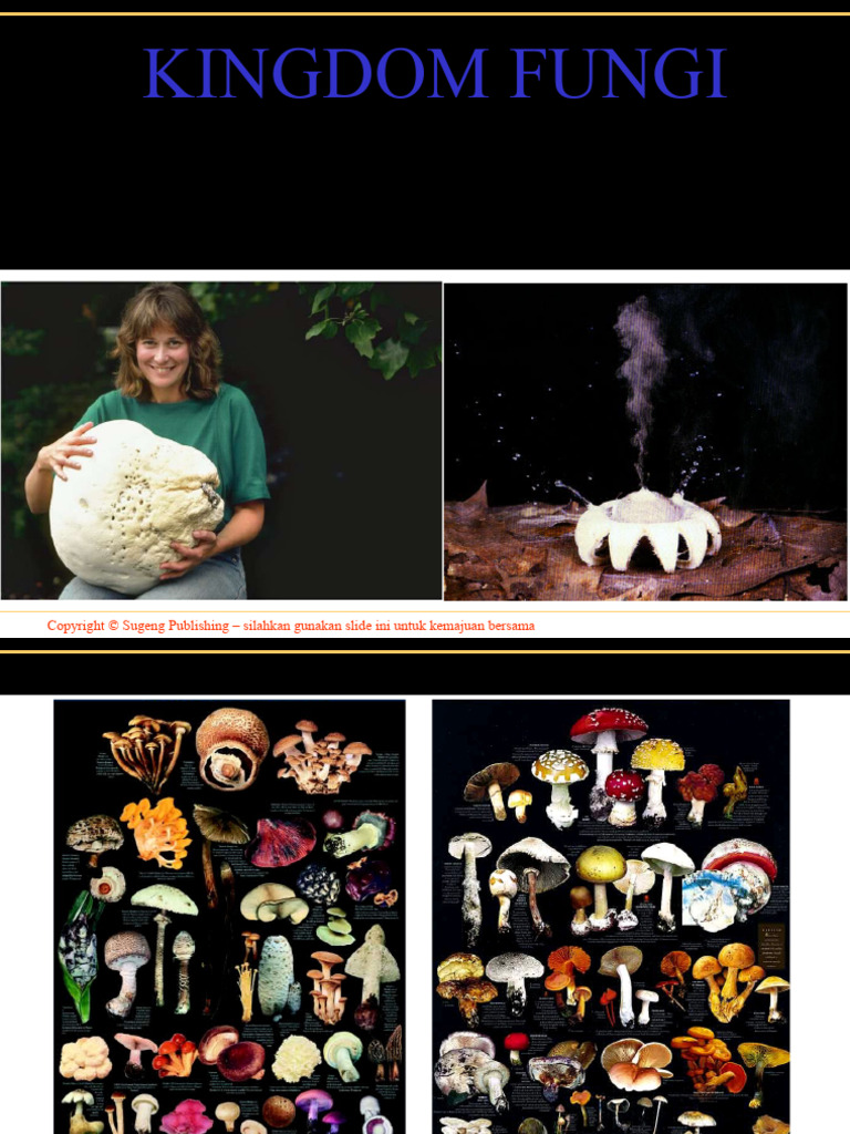 Fungi | PDF