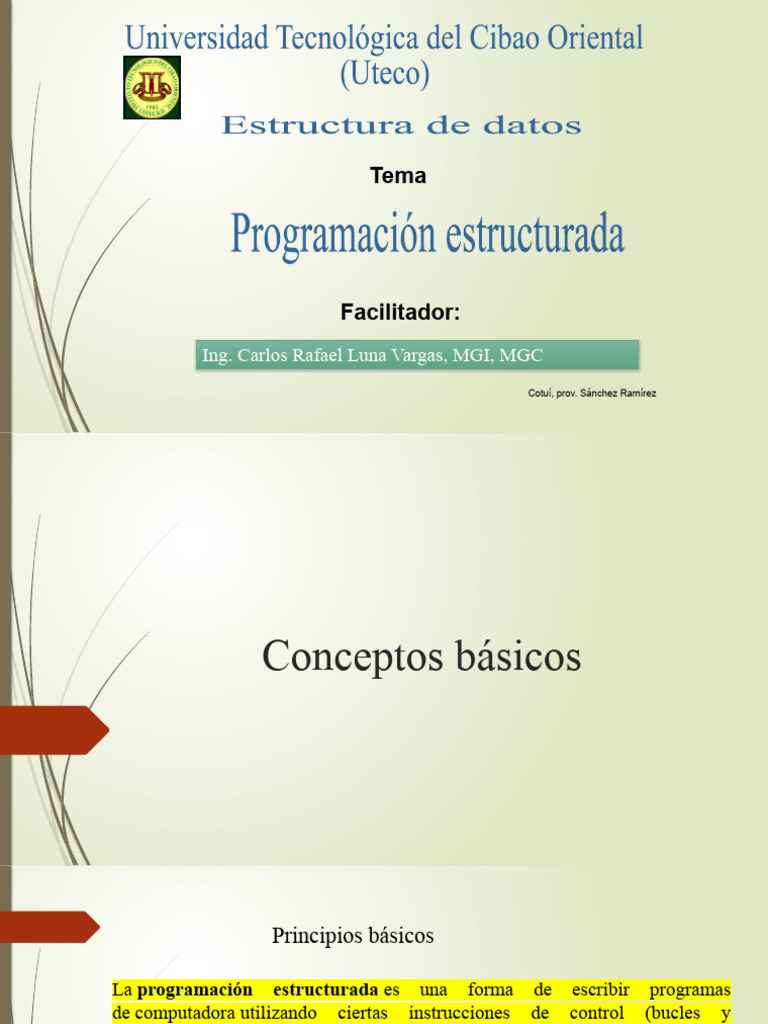 Programación Estructurada | PDF | Lenguaje de programación ...