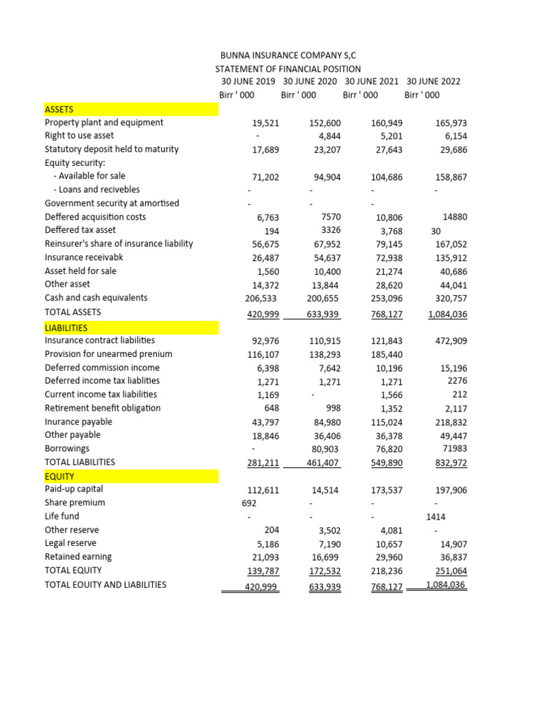 Bunna Insurance Financial Overview 2023 | PDF | Balance Sheet | Insurance