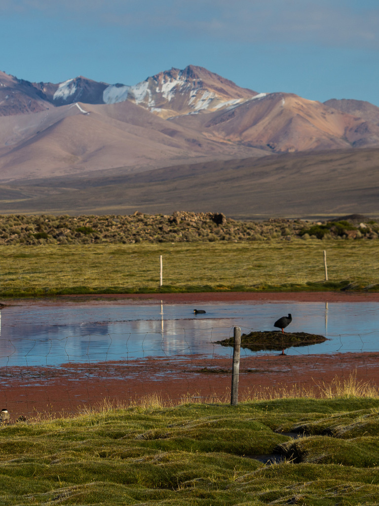 Atlas Rural de Chile Macrozona Norte Grande 1. Litoral Norte Grande ...