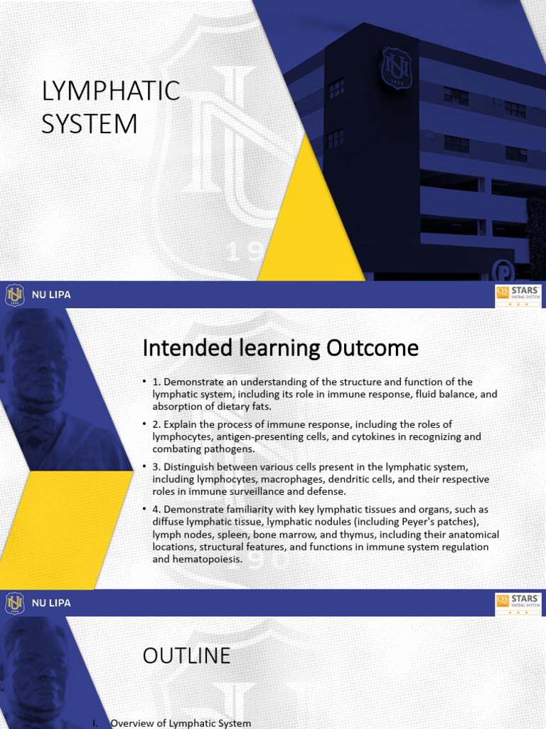 LYMPHATIC LEC - LAB EDITED - PPTX ST | Download Free PDF | Lymphatic ...