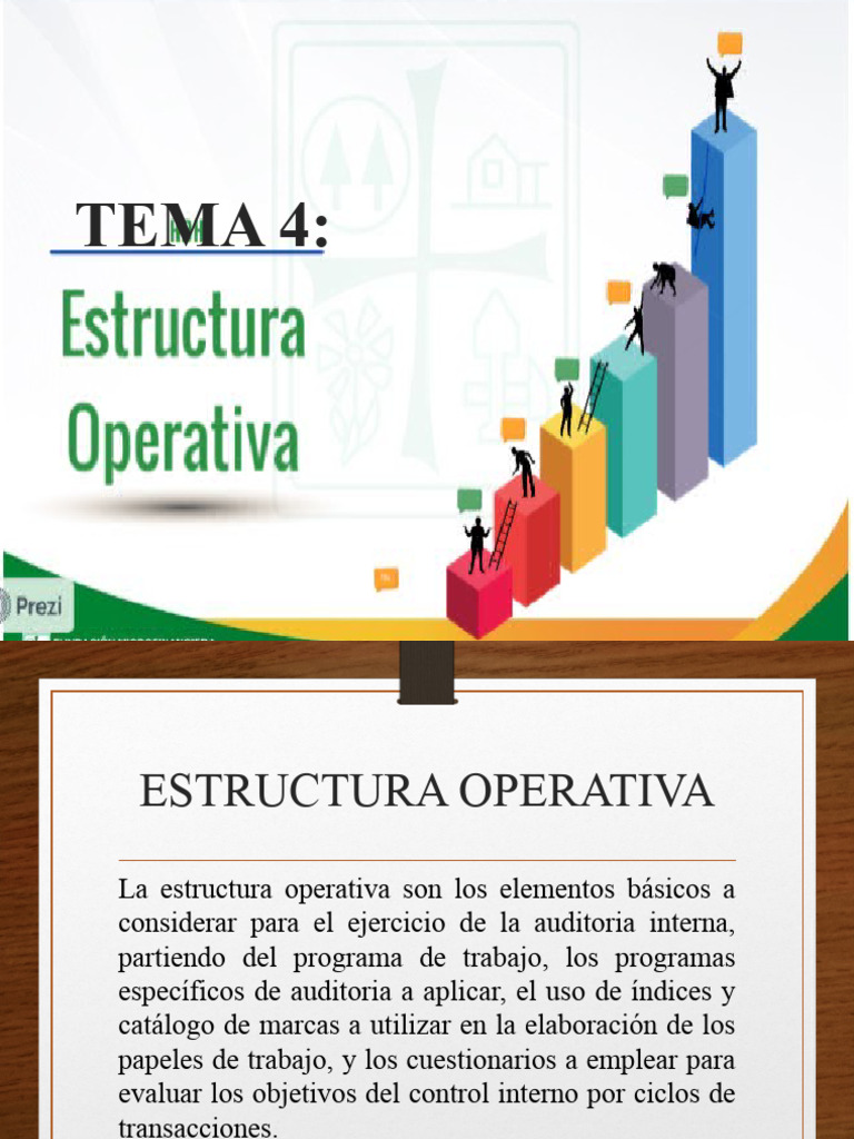 Estructura Operativa | PDF | Auditoría | Contralor