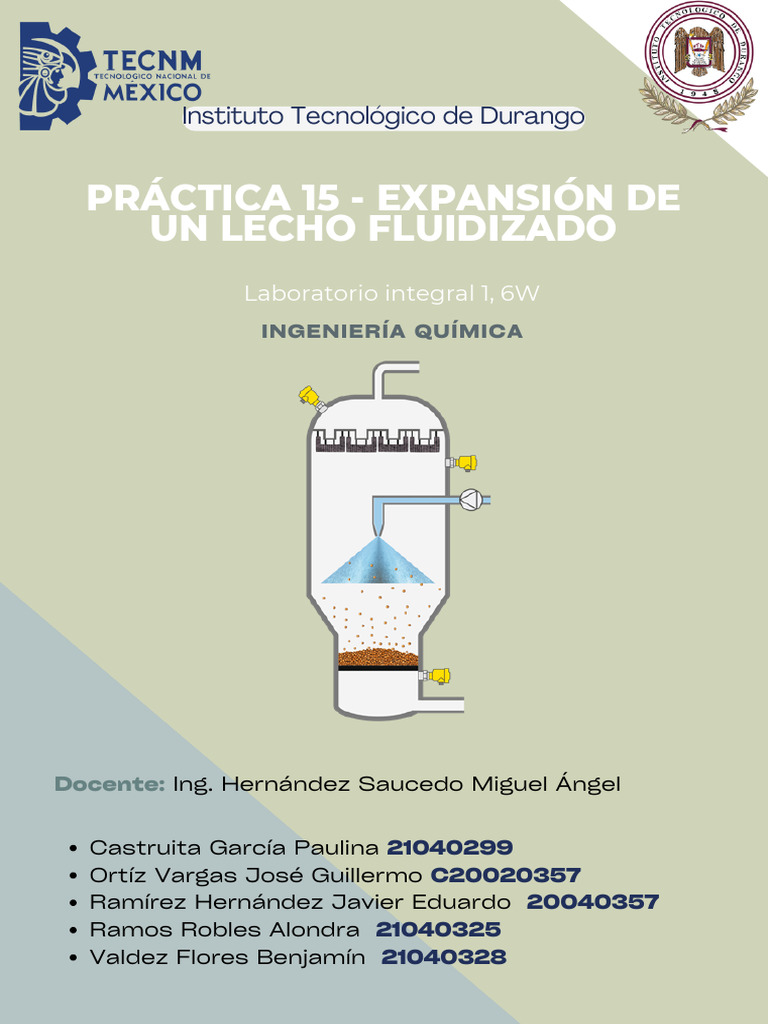 Práctica 15 - Expansión de Lecho Fluidizado | PDF | Fluidización | Física Aplicada e ...
