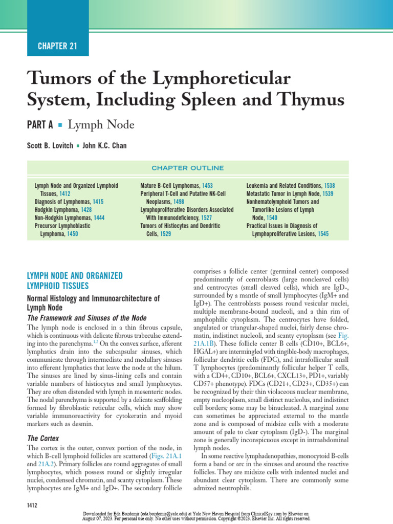 Tumors of The Lymphoreticular System, Including Spleen and Thymus | PDF ...
