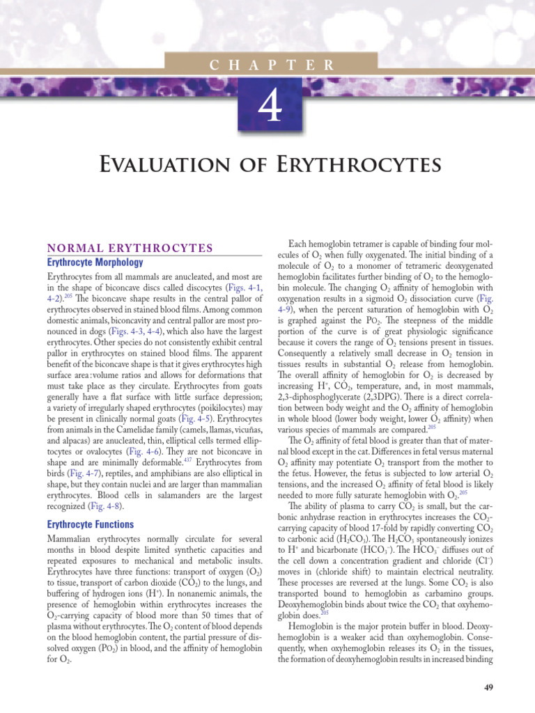 Evaluation of Erythrocytes: Normal Ery Throcy Tes | PDF | Red Blood ...