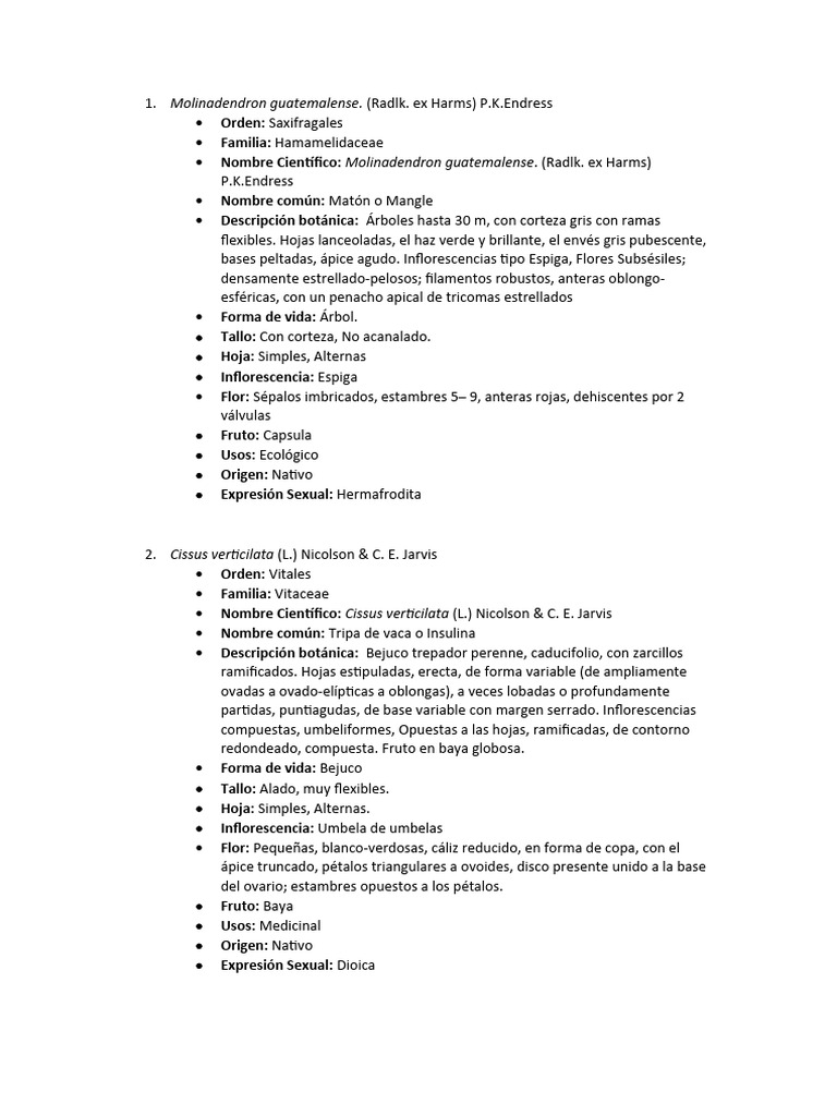 Info Fichas 2da Practica Taxo II | PDF | Hoja | Flores