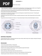 Cbse Class Ix Animal Tissue Flow Chart | PDF | Epithelium | Tissue ...