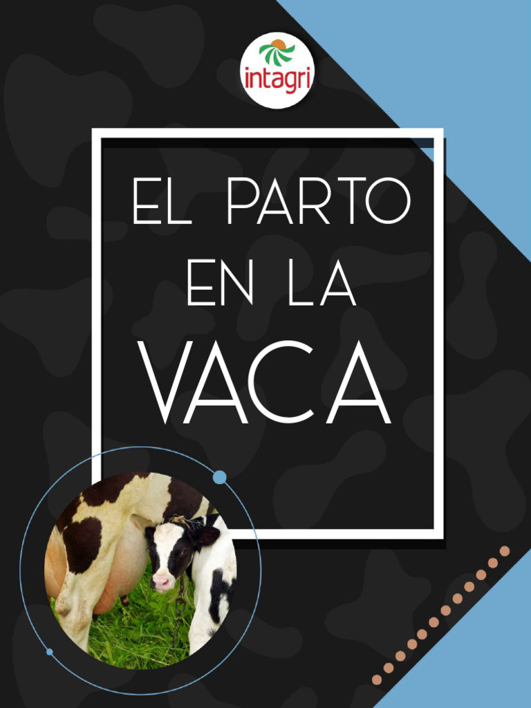 El Parto en La Vaca | PDF | Parto | Reproducción humana