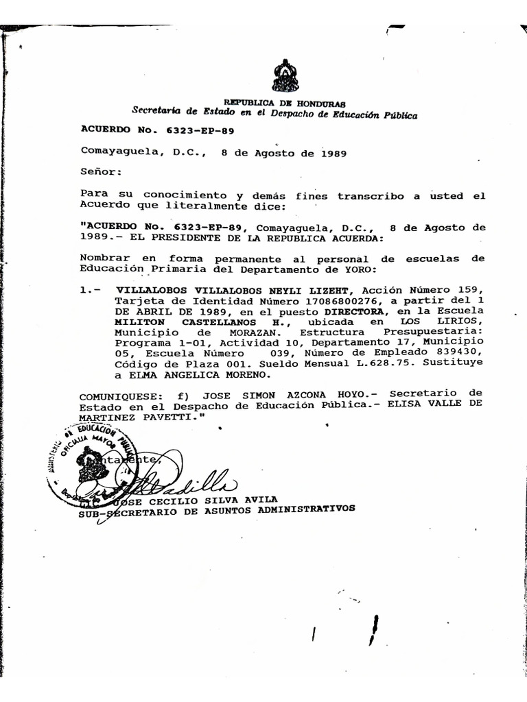Documento | PDF