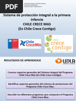 Sistema Chile Crece Más: Protección Infantil | PDF | Educación de la ...