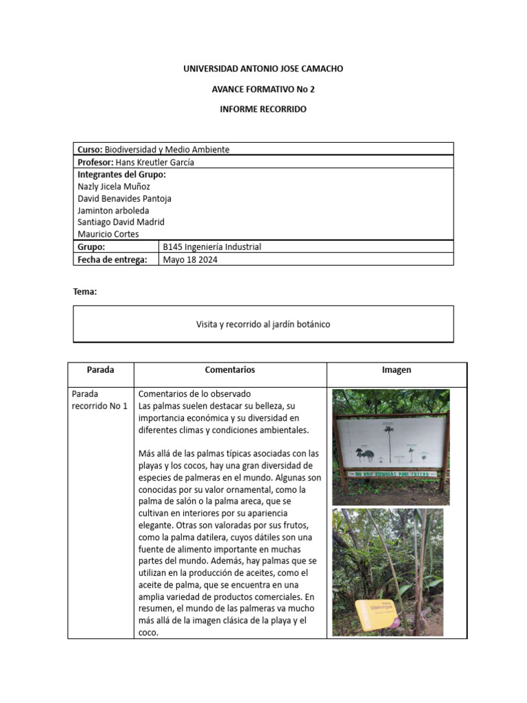 FORMATO INFORME AVANCE No 2.docx - Compressed | PDF | Arecaceae | Ají picante