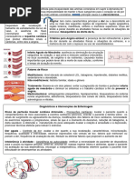 Anexo Classificacao Funcional Da New York Heart Association Nyha | PDF