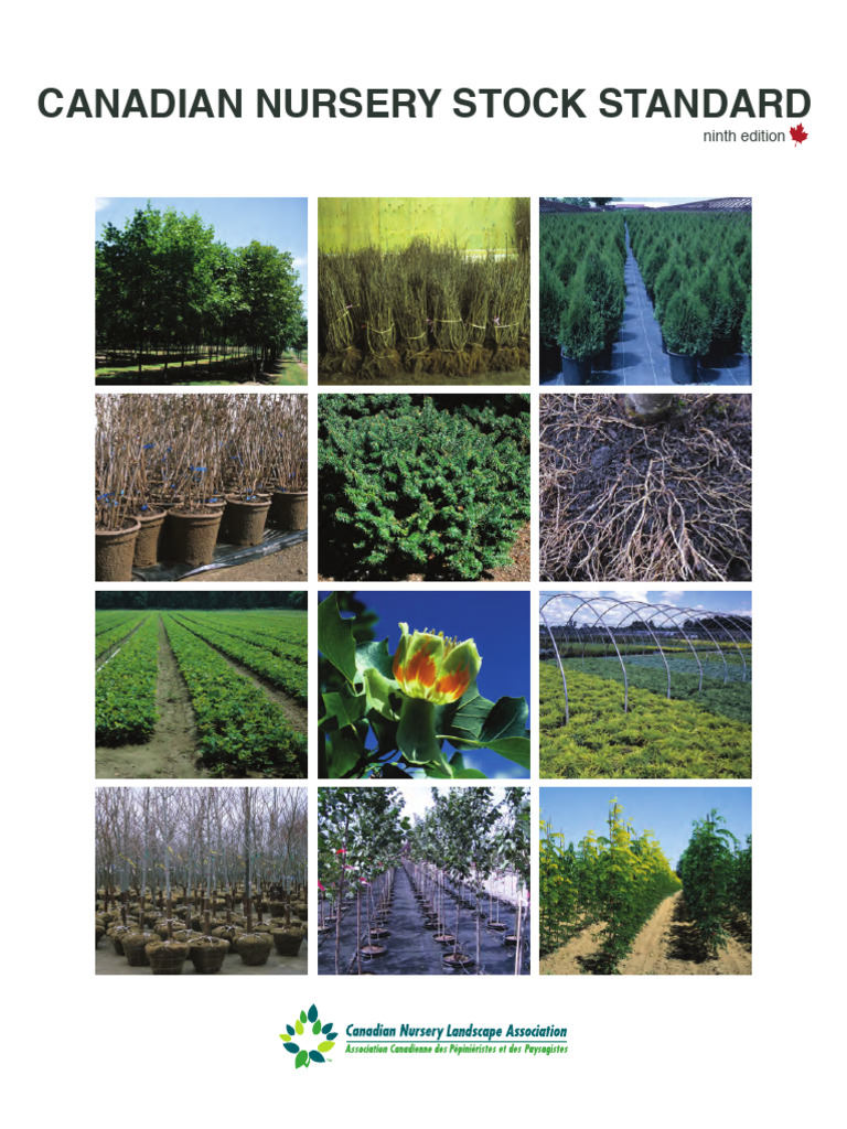 Canadian Nursery Stock Standard 9th Ed. | PDF | Plant Nursery | Grafting