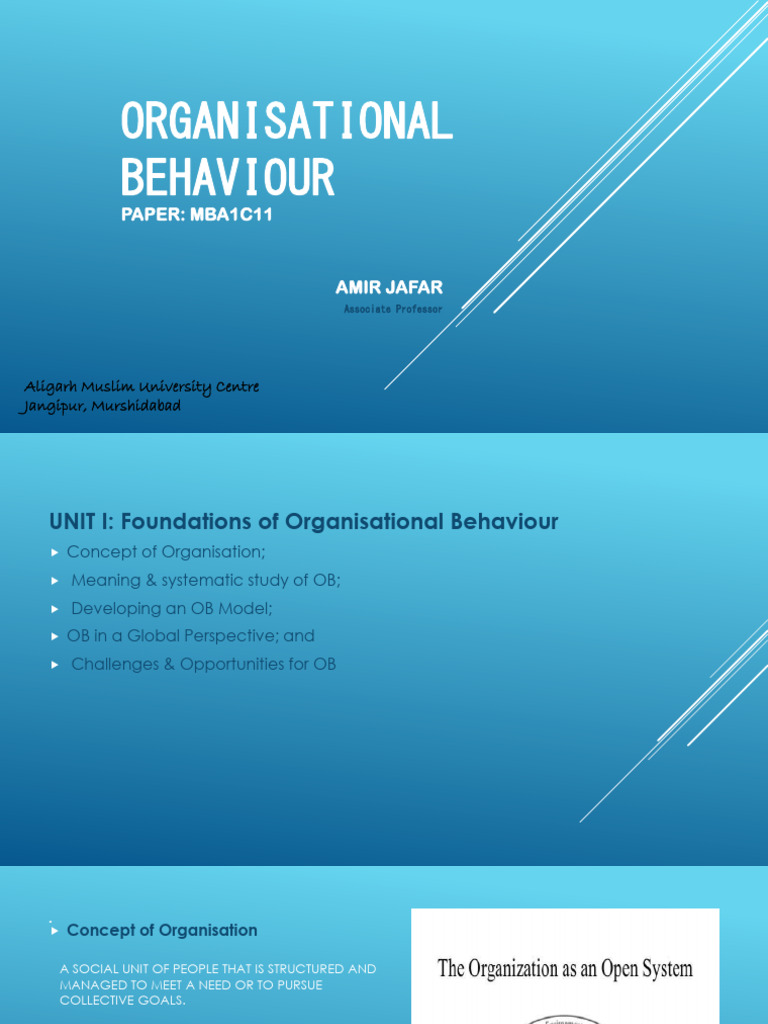 Organisational Behaviour: Paper: Mba1C11 | PDF | Organizational ...