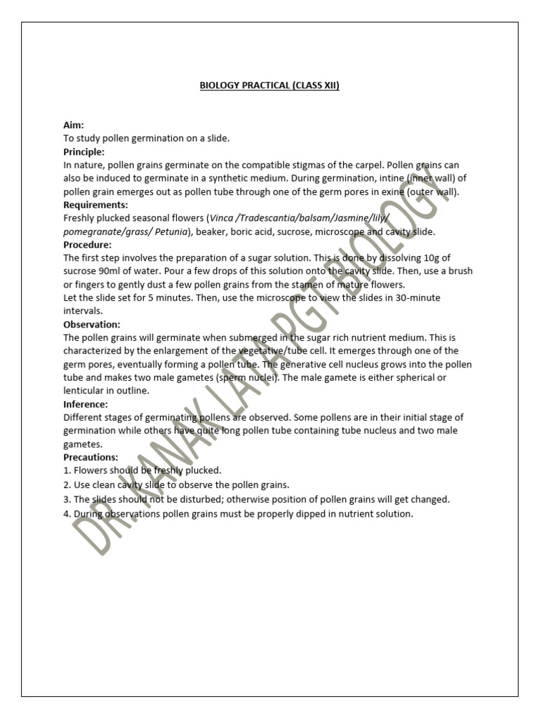 BIOLOGY PRACTICAL CLASS XII | PDF | Meiosis | Zygosity
