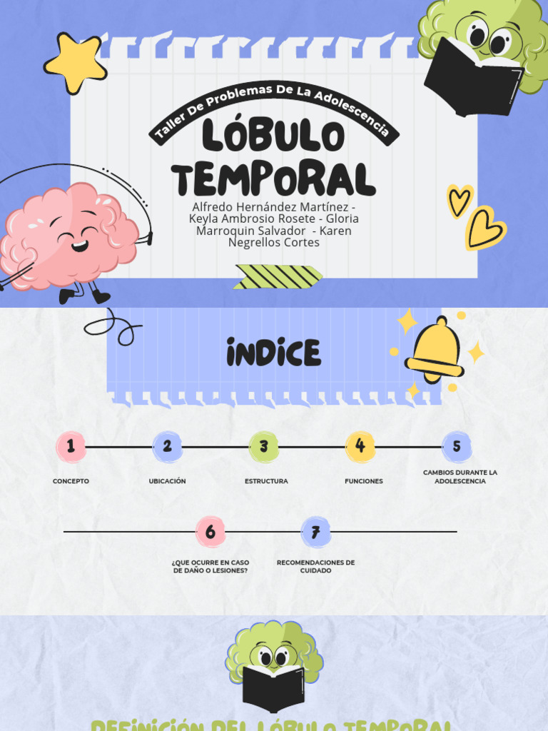 Lobulo Temporal | PDF | Lóbulo temporal | Cerebro