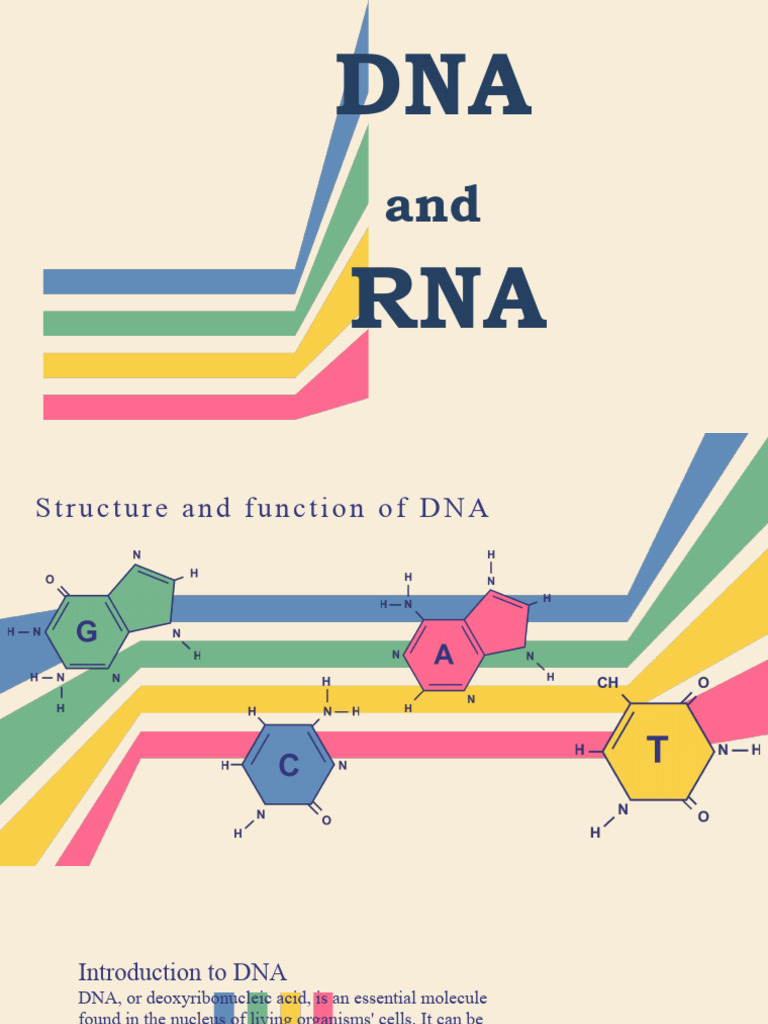 Dna and Rna | PDF | Rna | Dna