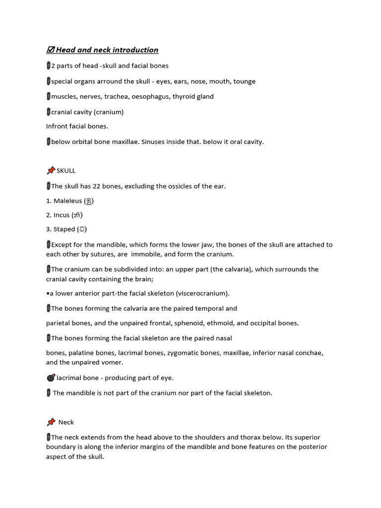 Head and Neck Intro | PDF | Skull | Neck