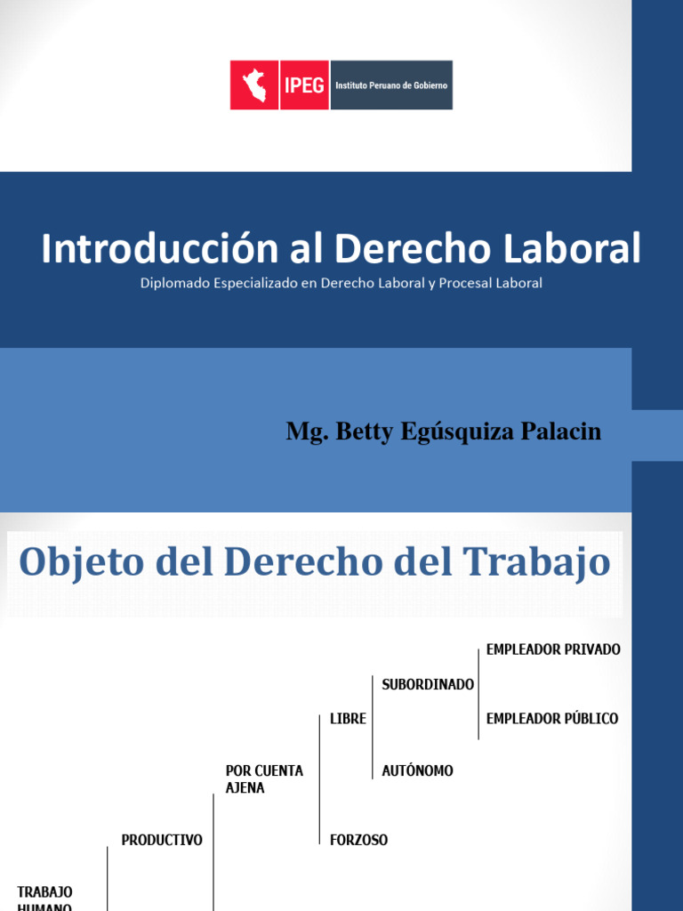 Derecho Laboral - 1 | PDF | Derecho laboral | Ley procesal