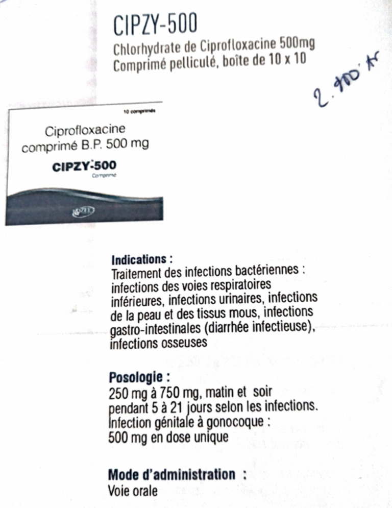 Cipzy-500 Zee | PDF