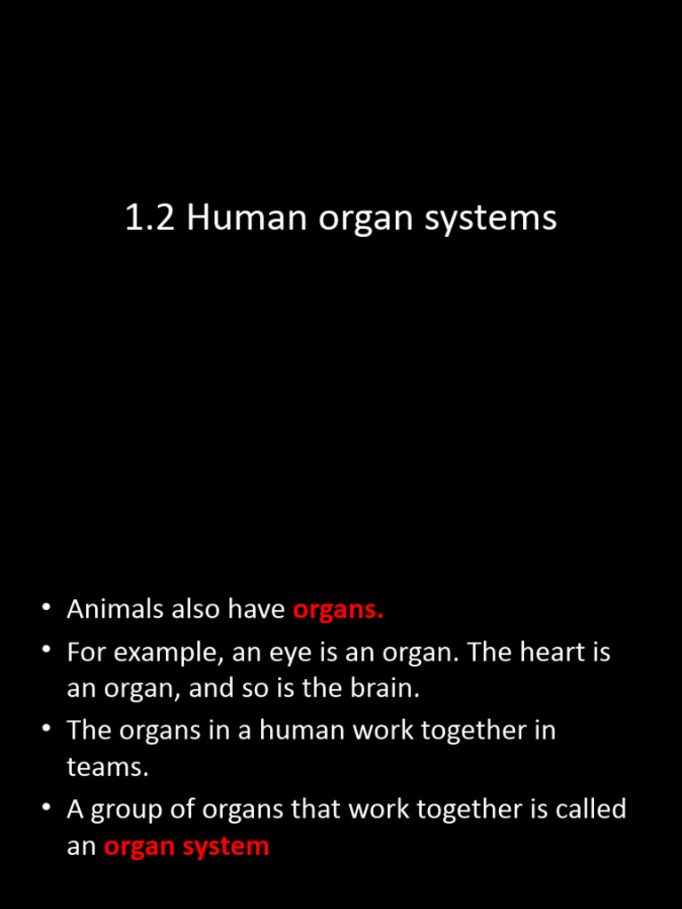 Overview of Human Organ Systems | PDF | Human Body | Artery