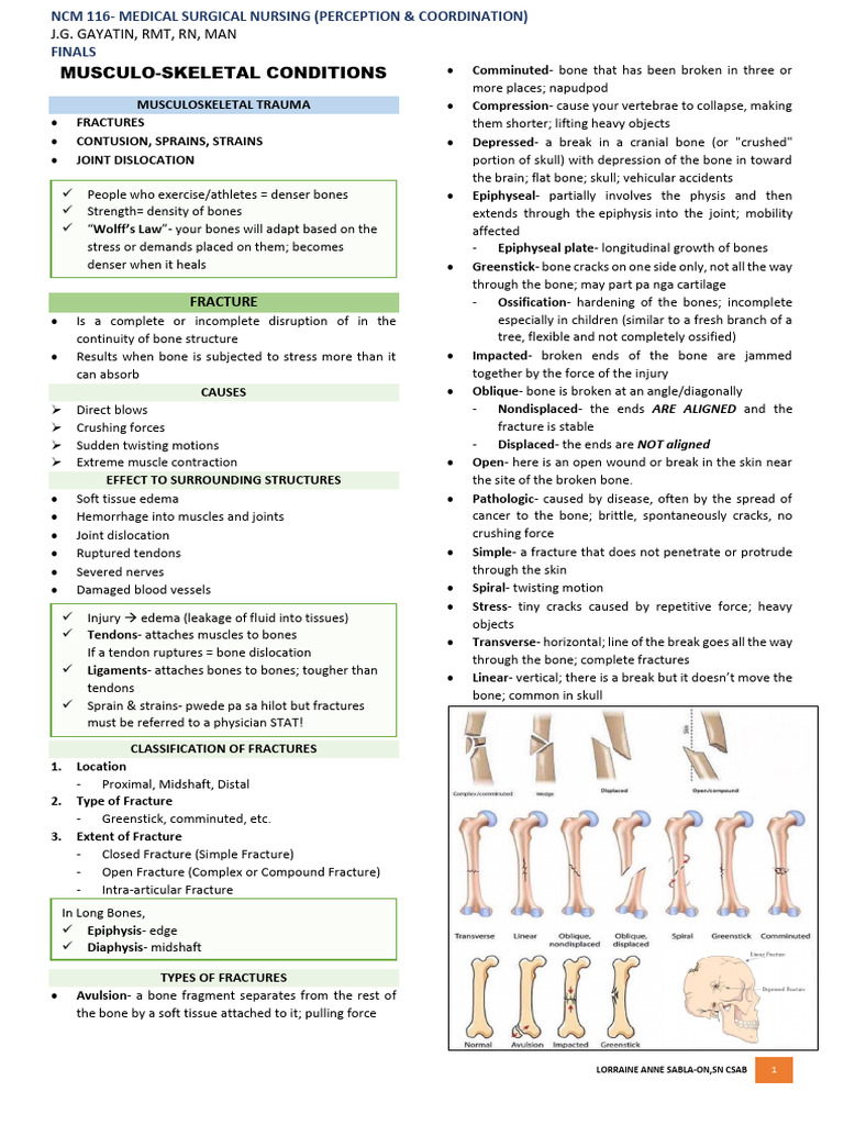 116-FINALSS | PDF | Bone | Musculoskeletal System