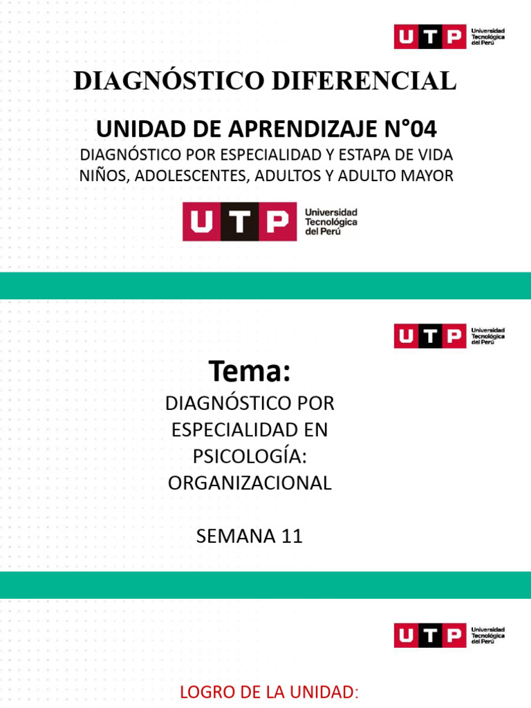 S11 - s1 Diagnóstico Por Especialidad Organizacional | PDF