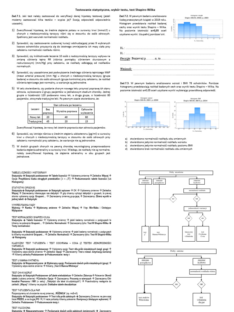 Wprowadzenie Do Testów | PDF