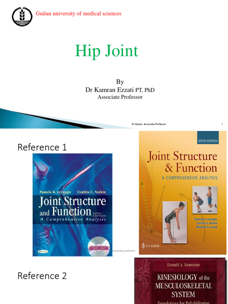 Hip Joint Mechanics & Pathologies | PDF | Hip | Musculoskeletal System