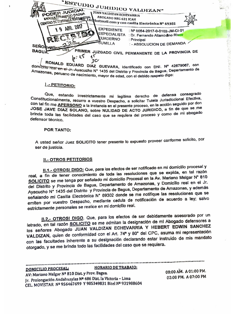 Solicitud de Tutela Jurisdiccional en Bagua | PDF | Ley procesal | Demanda judicial